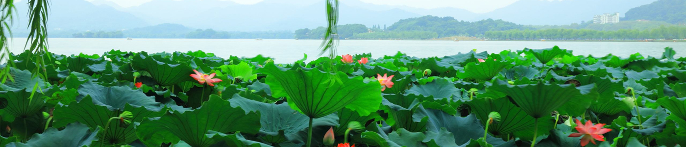 javascript-Mr.Deng课堂